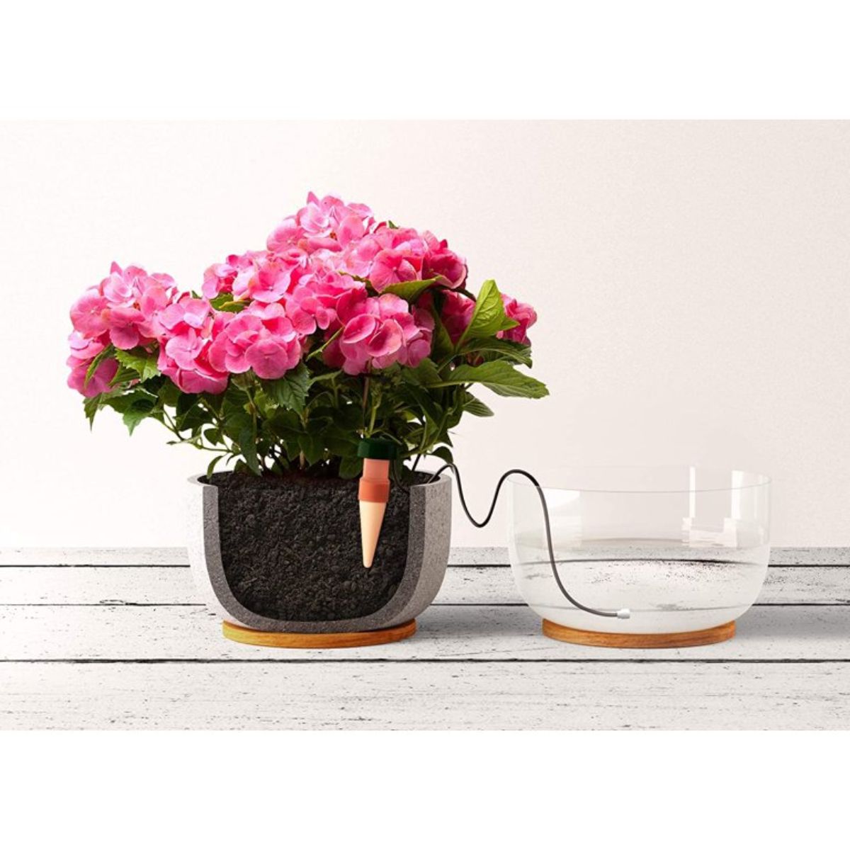 Blumat Classic - Self Watering Stick - making plant care easy ...