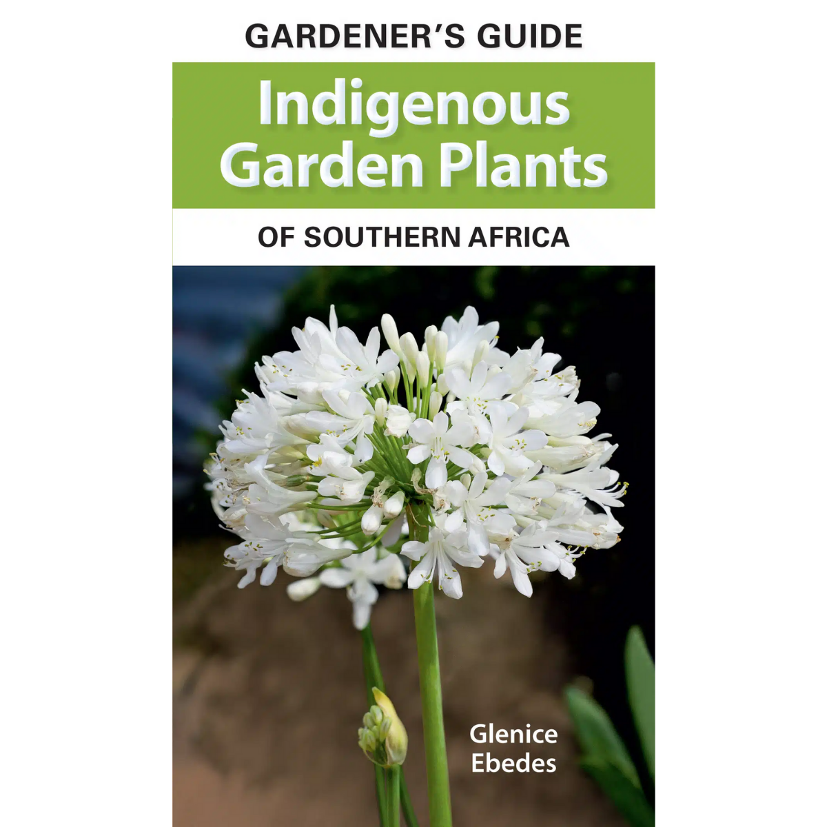 Gardener’s Guide: Indigenous Garden Plants of Southern Africa Plantify ...