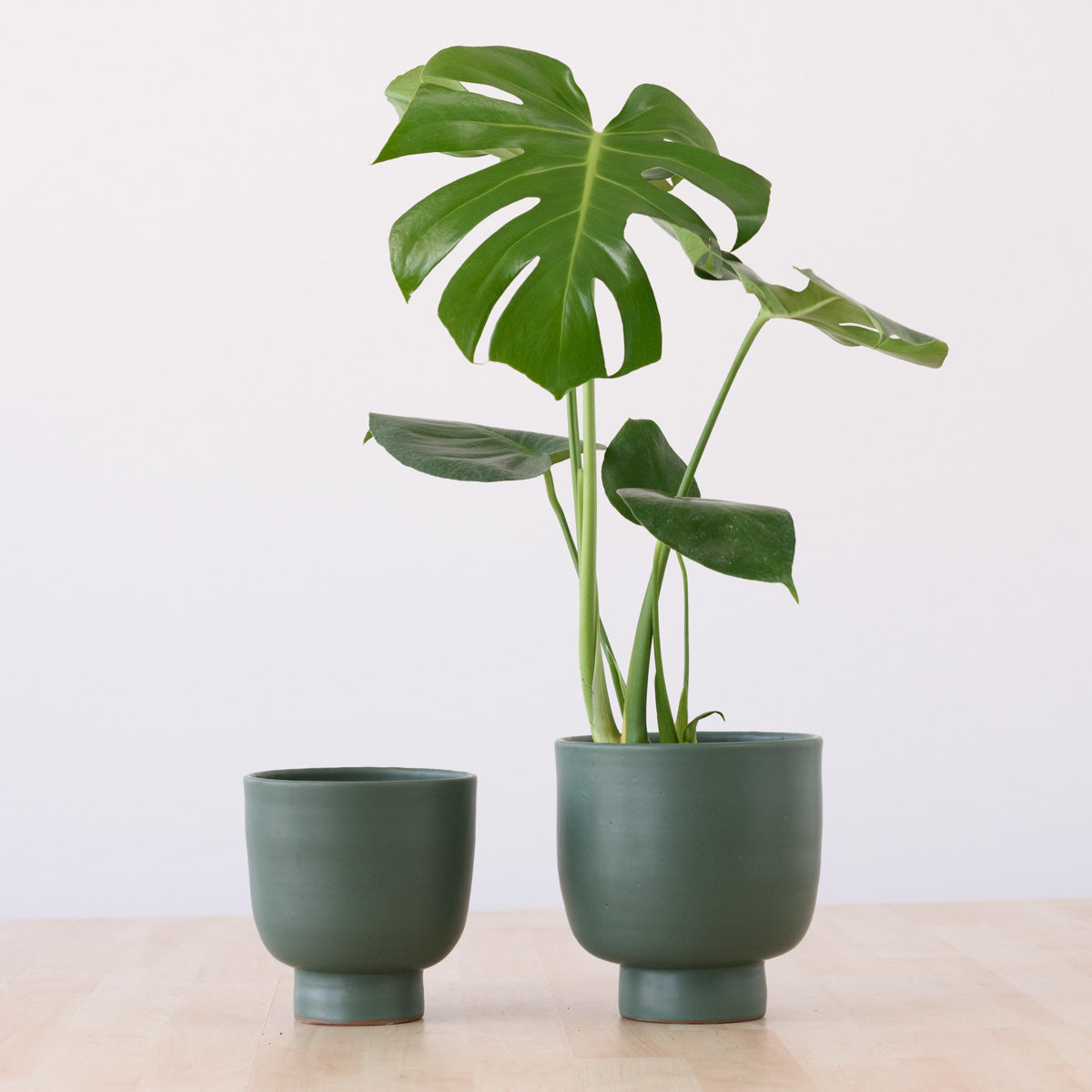 Shing Plinth Planter - Forest Green – Plantify - Urban Nursery
