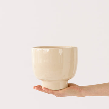 Pots and Baskets - Dress up your Houseplants in Style!