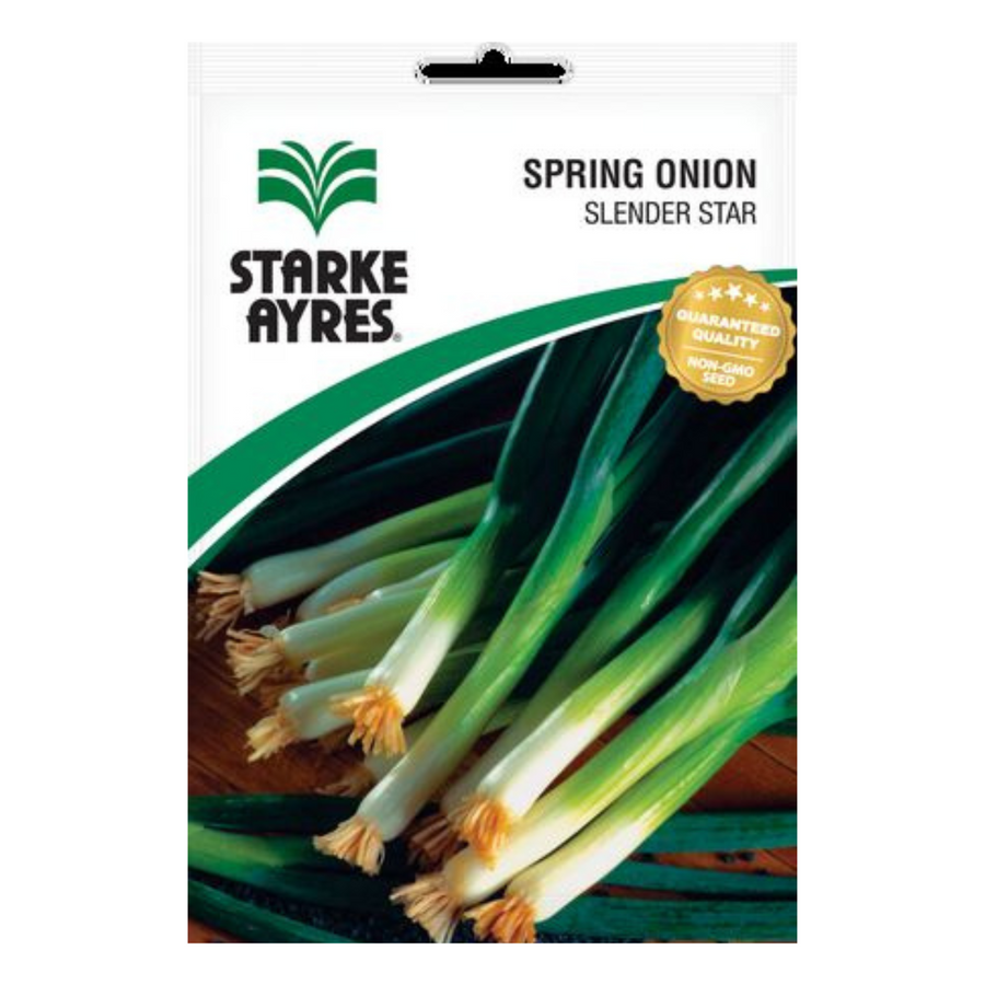 Seeds - Spring Onion | Vegetable Seeds