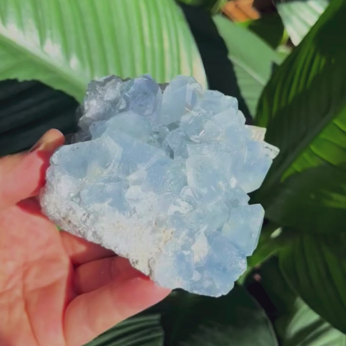 Celestite - Specimen | Crystals & Minerals