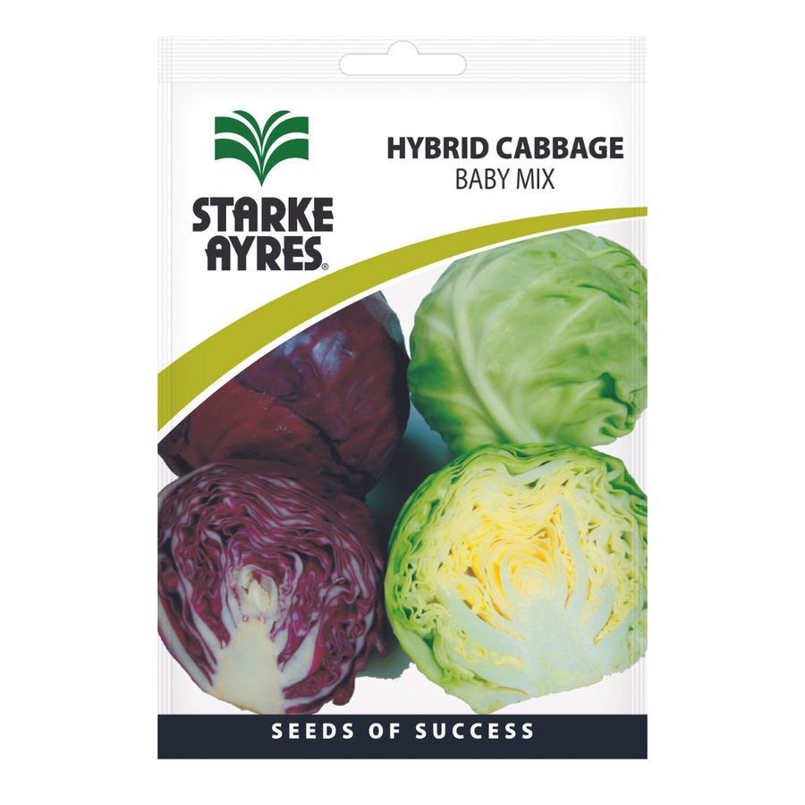 Seeds - Hybrid Cabbage Baby Mix – Plantify - Urban Nursery