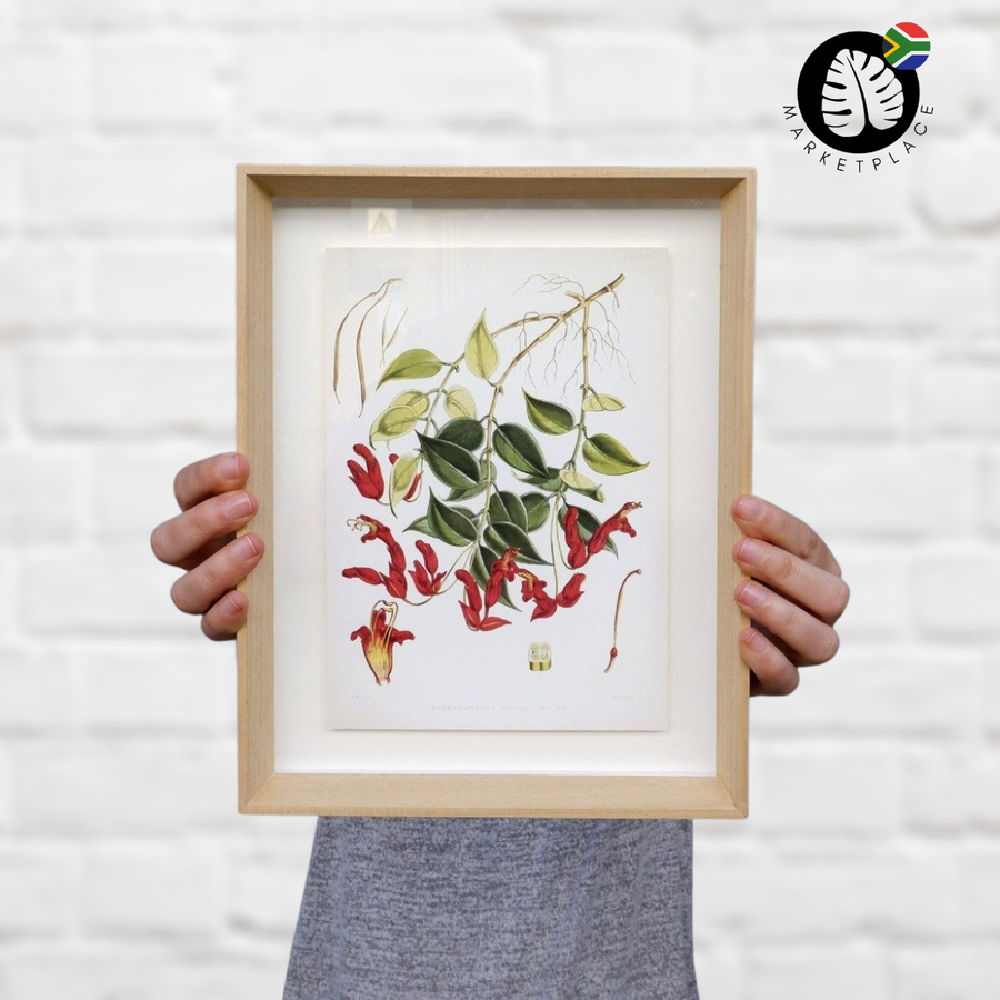 Botanical Art - Enjoy our special Art Selection! - tagged "["Bits ...