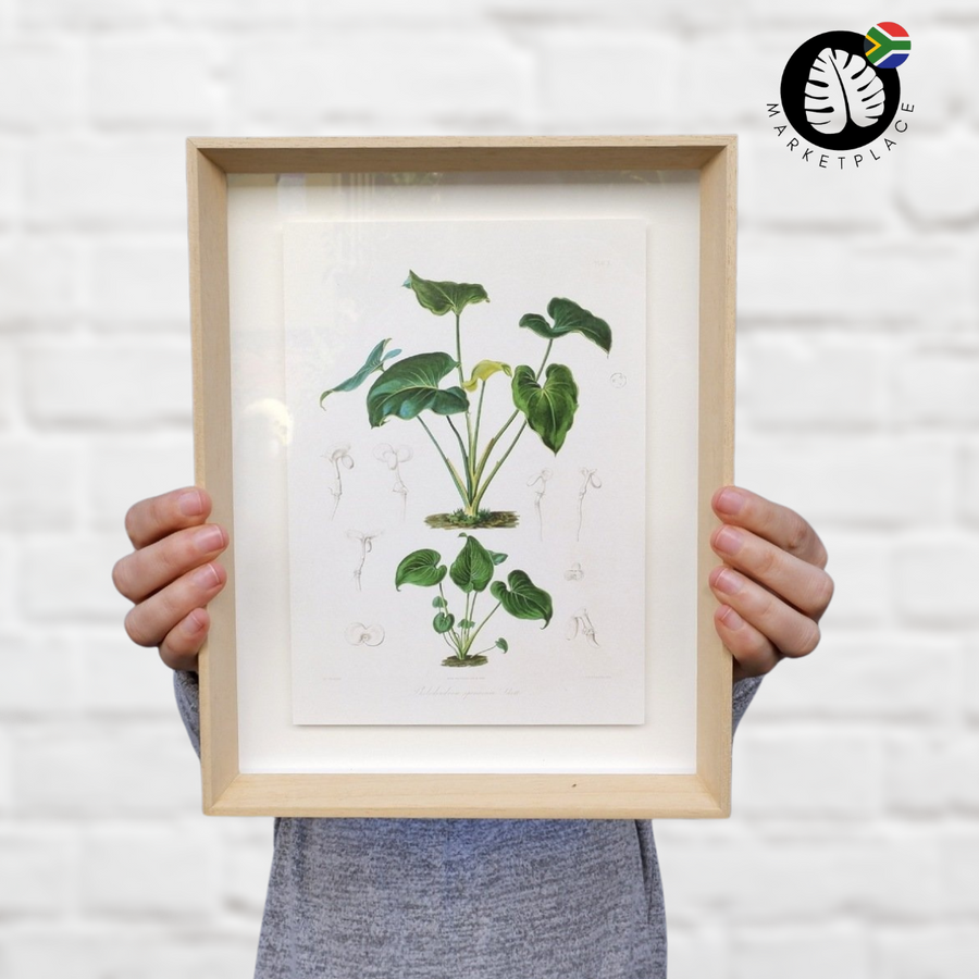 Botanical Art - Enjoy our special Art Selection! - tagged "["Bits ...