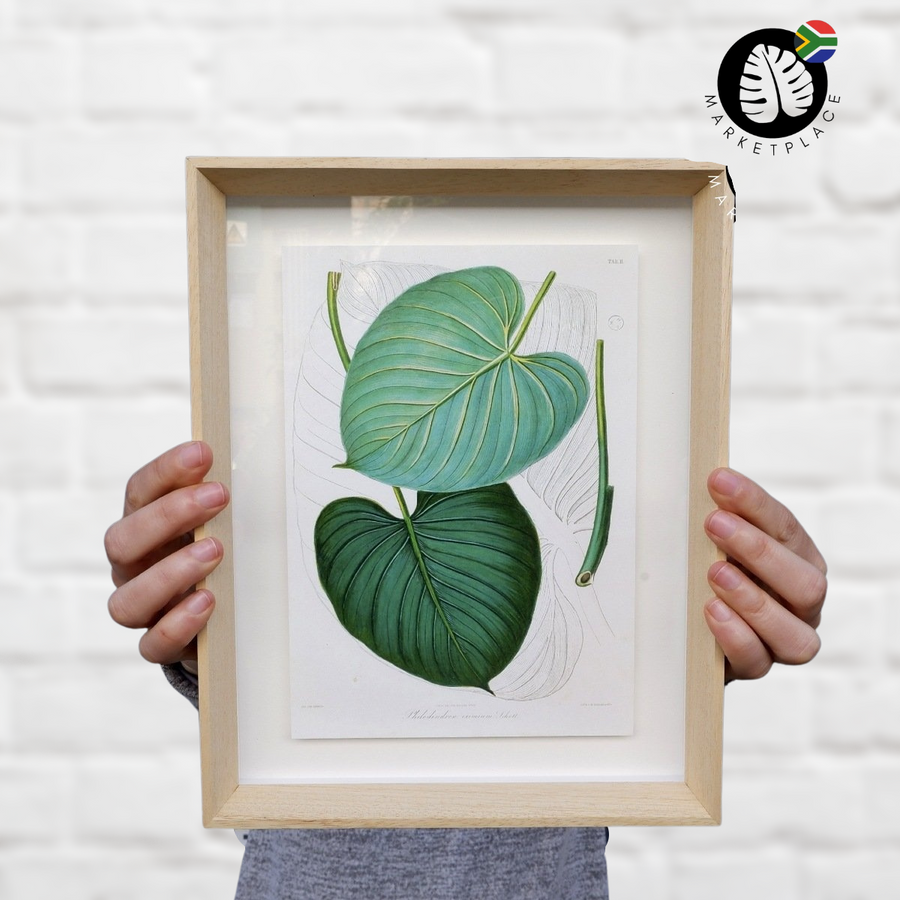 Botanical Art - Enjoy our special Art Selection! - tagged "["Bits ...