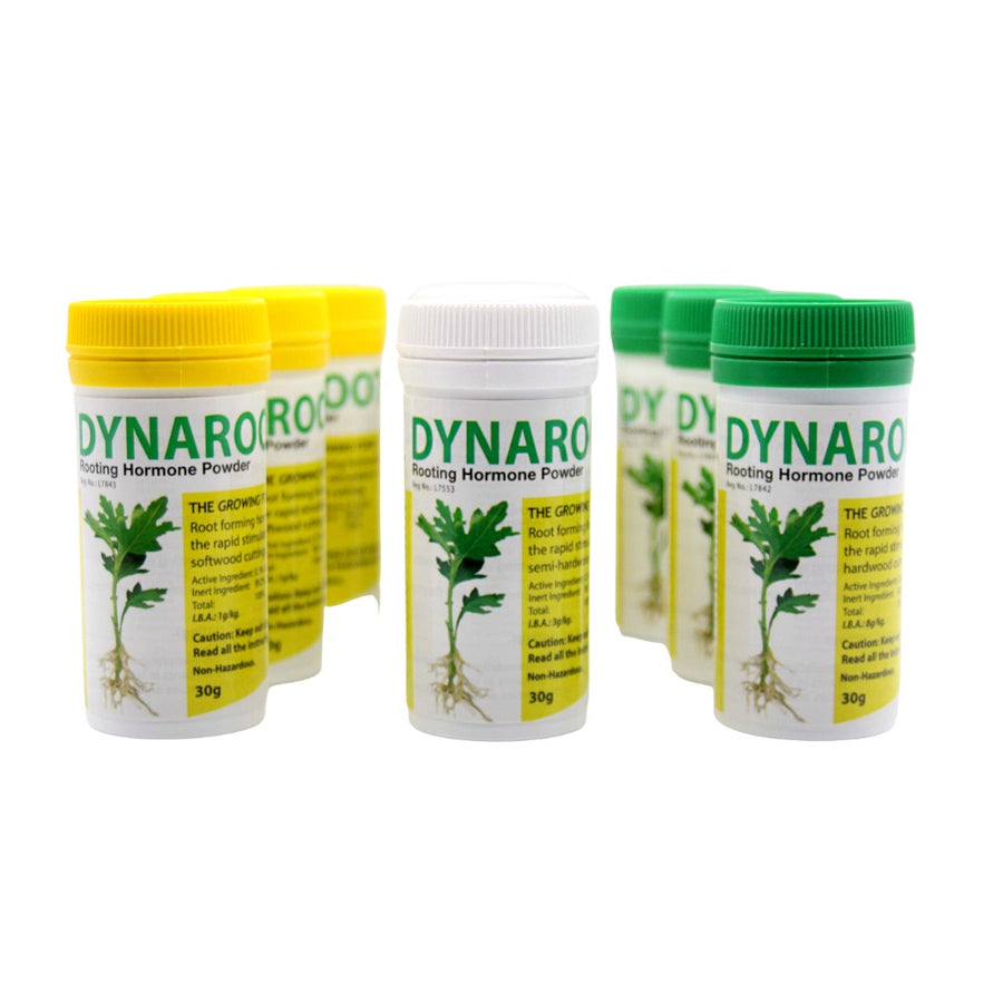 Dynaroot Rooting Hormone Powder – Plantify - Urban Nursery