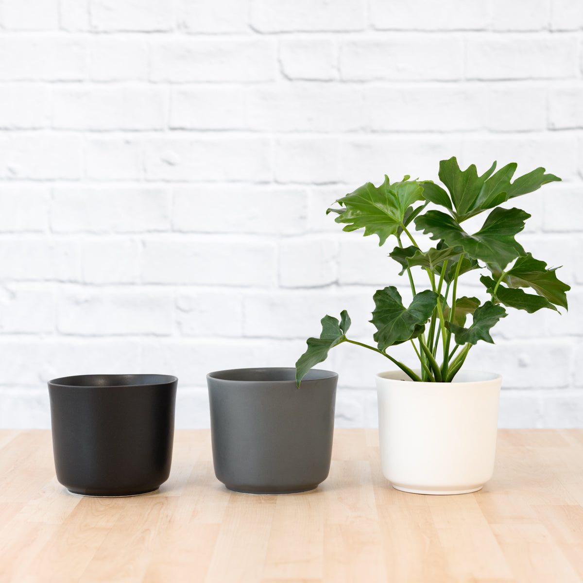 Emerson Pot - Matt Range – Plantify - Urban Nursery