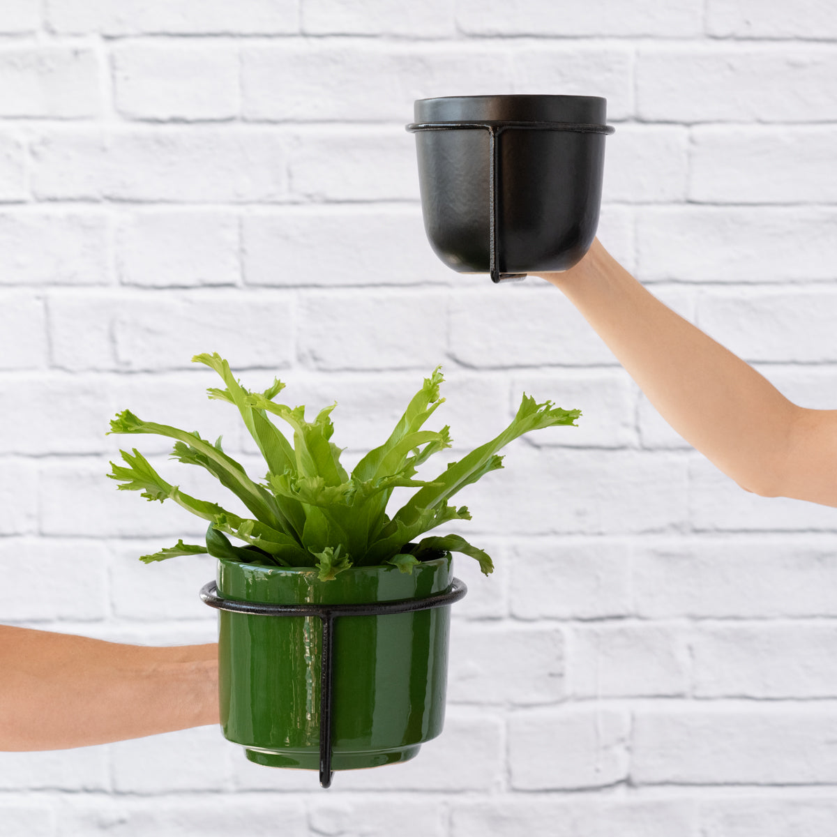 G-String Wall Pot Holder - Black – Plantify - Urban Nursery