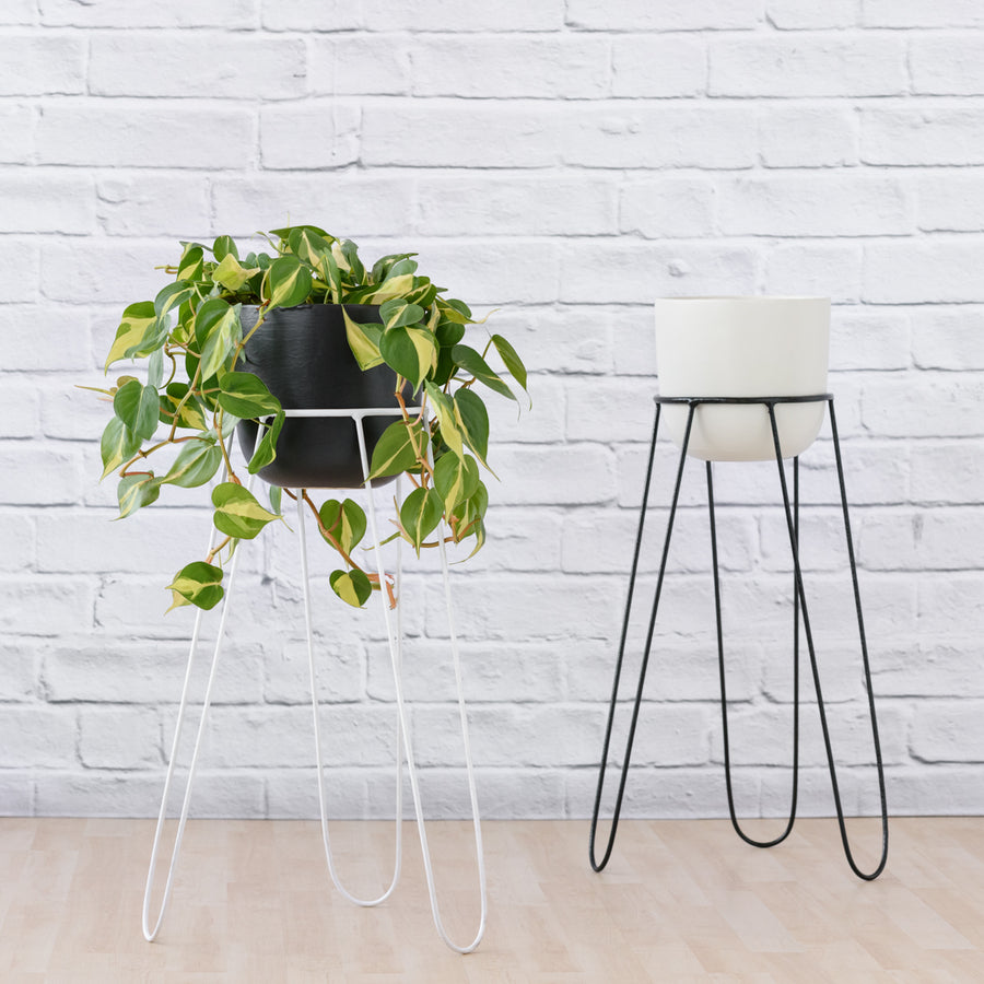 Plant Stands - Elevate your Plants today!