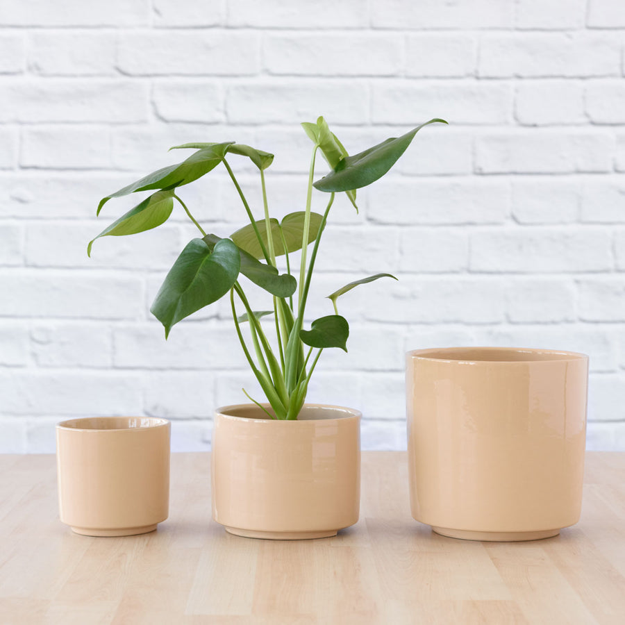 Pots and Baskets - Style your Houseplants Beautifully! – Tagged ...