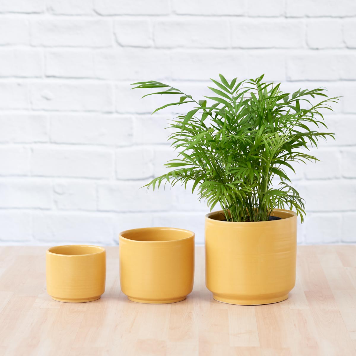 Migo Planter - Mustard Yellow | Indoor Plant Pot