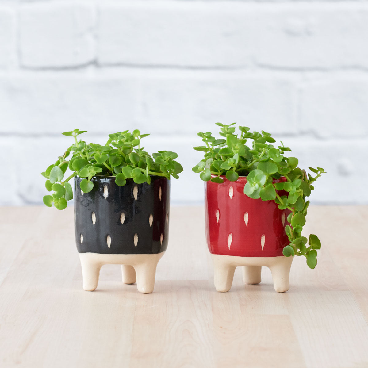 Pippin Planter – Plantify - Urban Nursery
