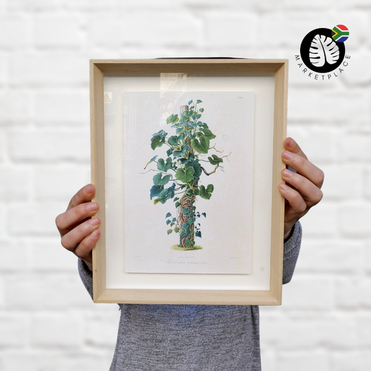Botanical Art - Enjoy our special Art Selection! - tagged "["Bits ...
