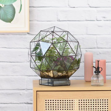 Terrariums - For Creating your own Plant Wonderland