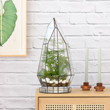 Terrariums - For Creating your own Plant Wonderland