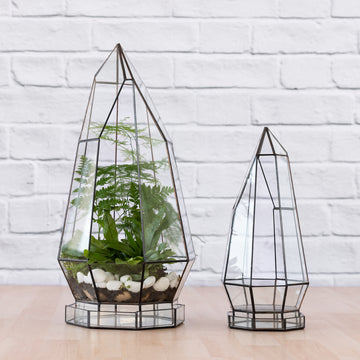 Terrariums - For Creating your own Plant Wonderland