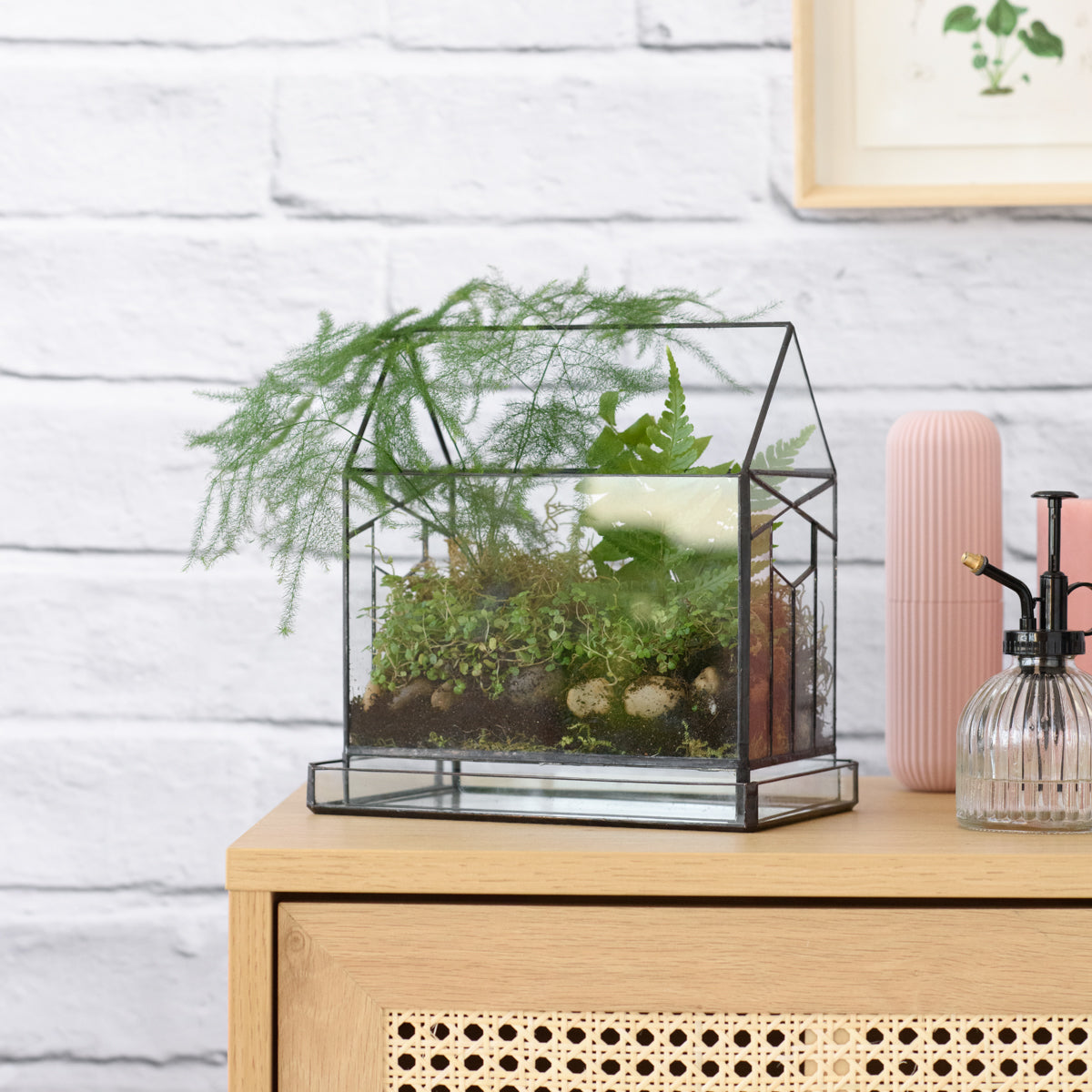 Terrarium - Deco House – Plantify - Urban Nursery