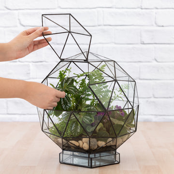 Terrariums - For Creating your own Plant Wonderland