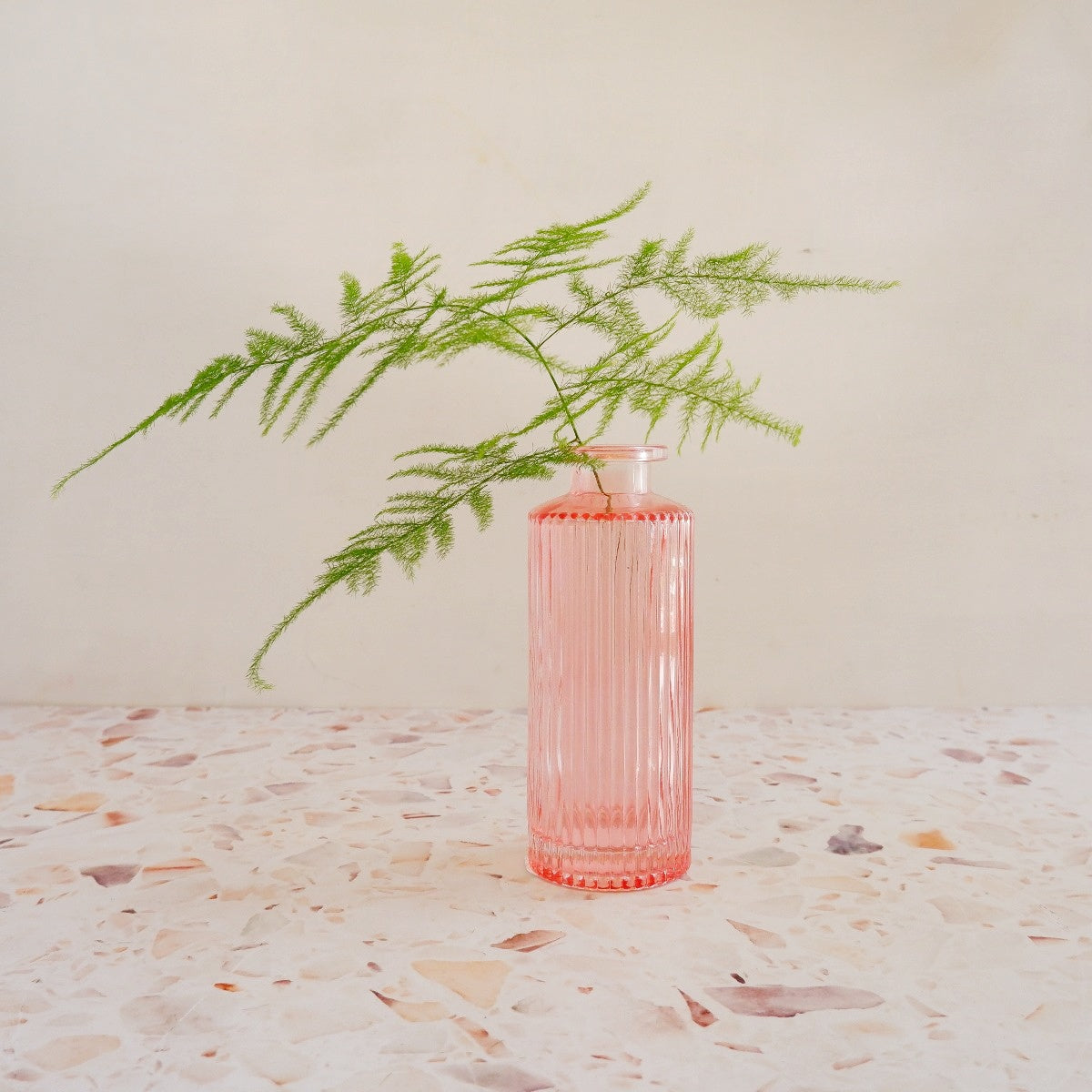 Glass Vase - Pink Ribbed – Plantify - Urban Nursery